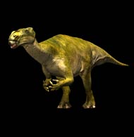 Dinosaurs - Muttaburrasaurus