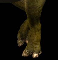 Dinosaurs - Muttaburrasaurus